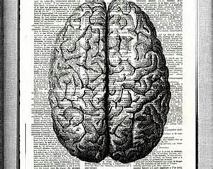 Brain – Caliburnus Rises